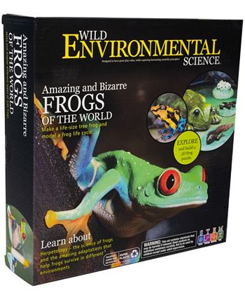 WILD! Science Wild Environmental Science - Amazing and Bizarre Frogs of ...