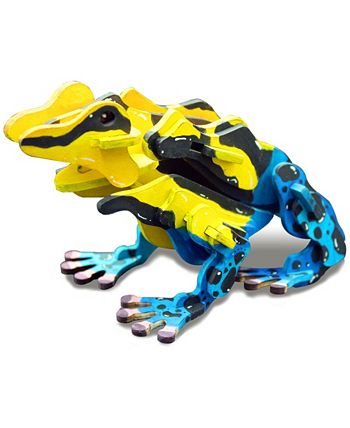 WILD! Science Wild Environmental Science - Amazing and Bizarre Frogs of ...