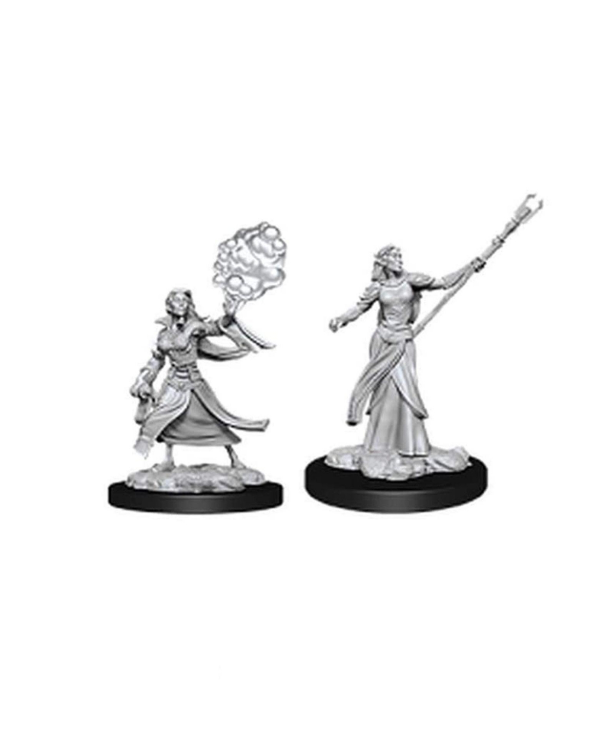 Click here for Dungeons and Dragons Female Elf Sorcerer Nolzurs M... prices