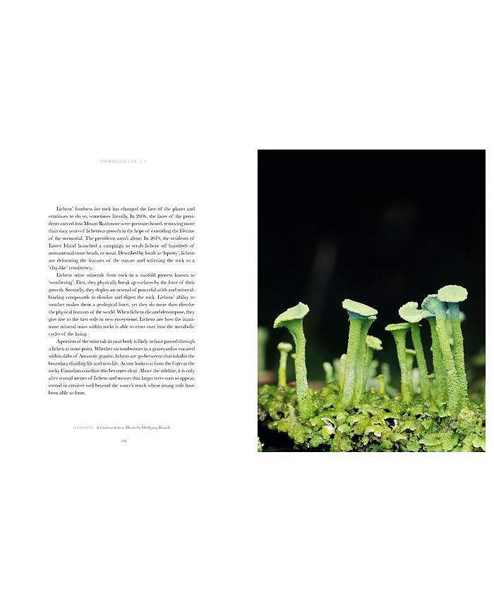 Barnes & Noble Entangled Life- The Illustrated Edition- How Fungi Make ...