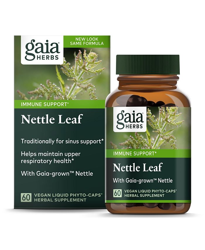 Gaia Herbs Nettle Leaf - Immune, Respiratory, and Sinus Support ...