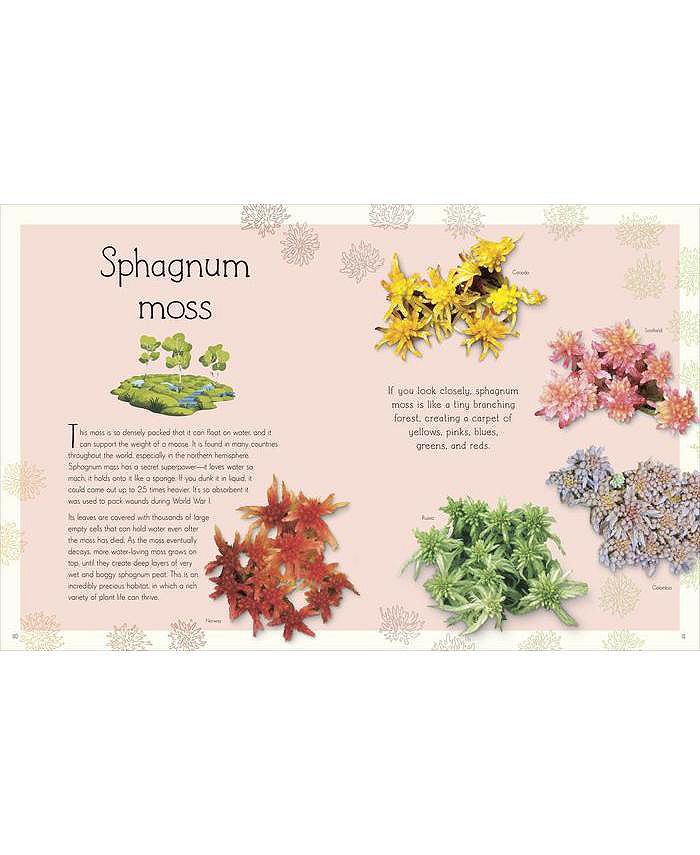 Barnes & Noble An Anthology of Aquatic Life by Sam Hume - Macy's