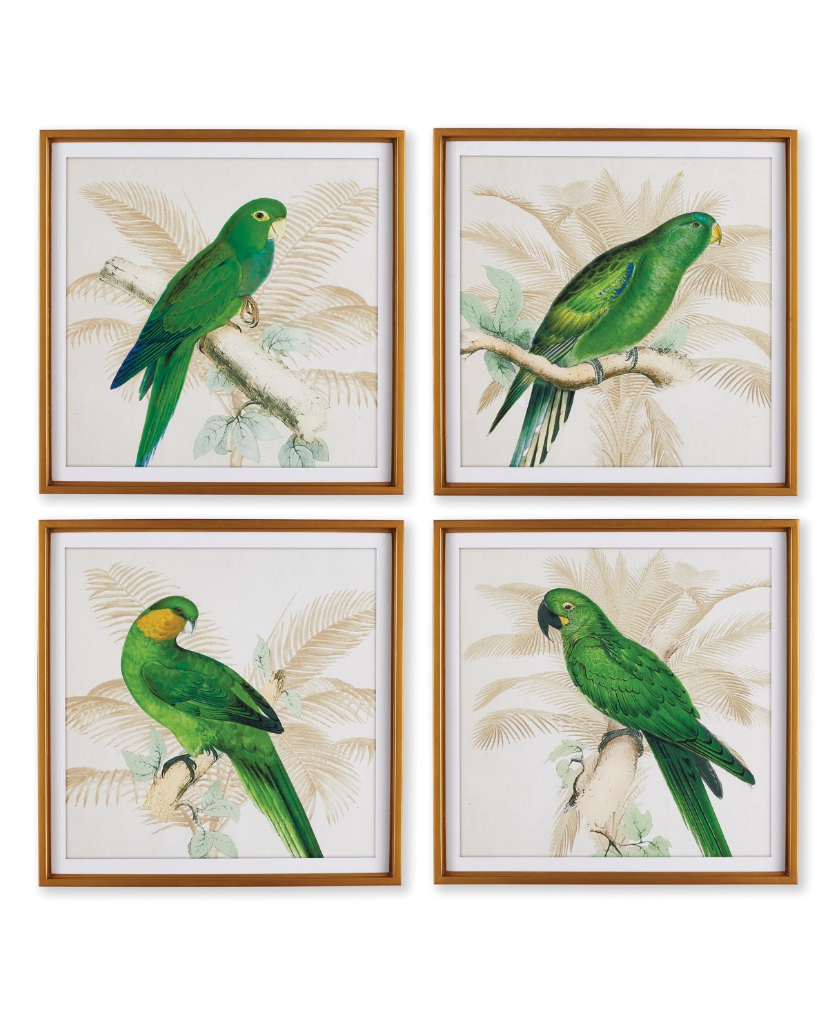 Click here for Green Parrots Study Set of 4 Wall Art - Blue prices