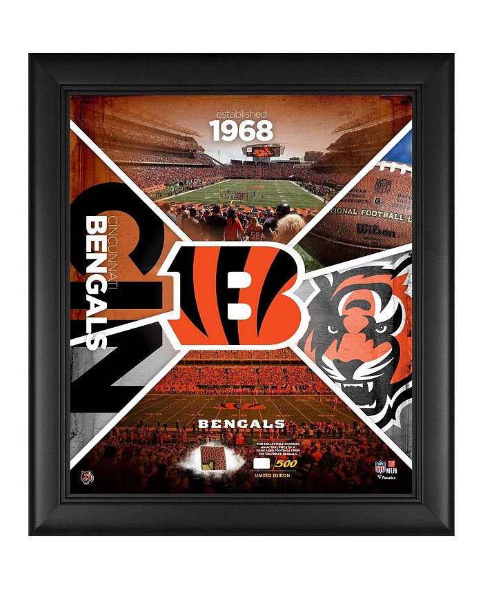 Fanatics Authentic Cincinnati Bengals Framed 15" x 17" Team Impact ...