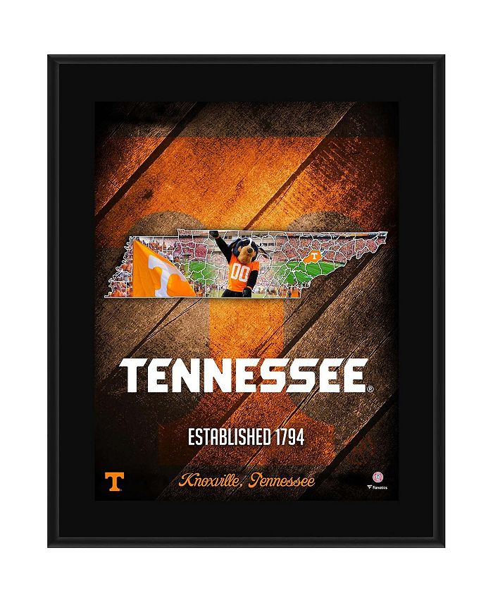 Fanatics Authentic Tennessee Volunteers 10.5" x 13" 2018 Sublimated ...