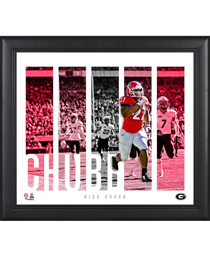 Fanatics Authentic Nick Chubb Georgia Bulldogs Framed 15'' x 17 ...