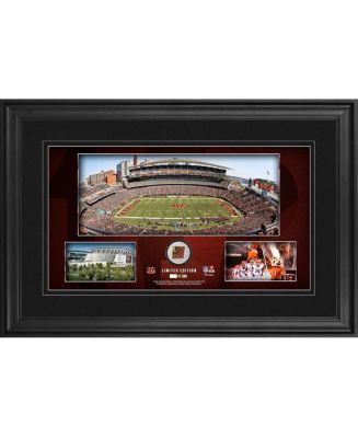 Cincinnati Bengals Framed 10" x 18" Stadium Panoramic Collage with Game ...