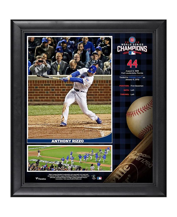 Fanatics Authentic Anthony Rizzo Chicago Cubs 2016 MLB World Series ...
