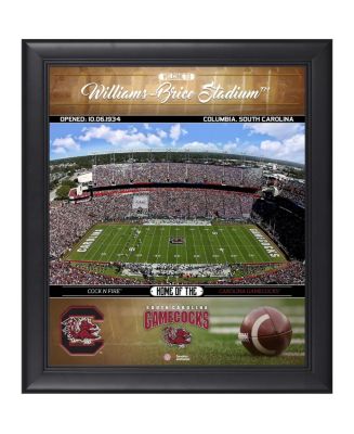 South Carolina Gamecocks Framed 15" x 17" Welcome Home Collage - Macy's