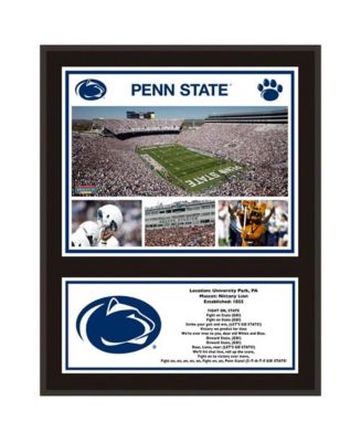 Fanatics Authentic Penn State Nittany Lions 12" x 15" Sublimated Team ...
