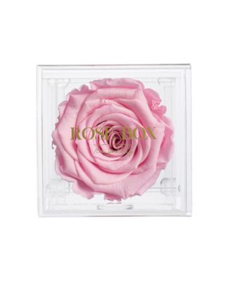 Rose Box NYC Jewelry box of Light Pink Long Lasting Preserved Real Rose ...