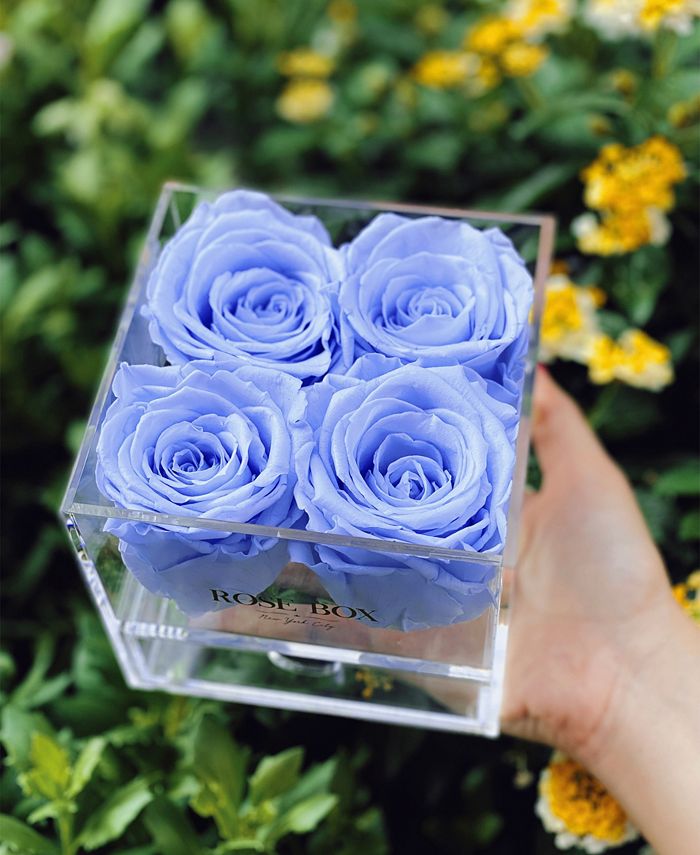 Rose Box NYC Jewelry box of Violet Long Lasting Preserved Real Roses, 4 ...