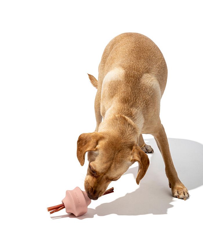 Wild One Twist Toss Dog Toy - Macy's