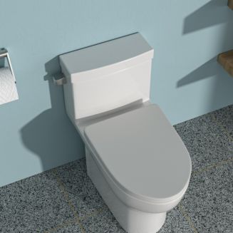 Streamdale Furniture Ceramic One Piece Toilet, Single Flush With Soft ...
