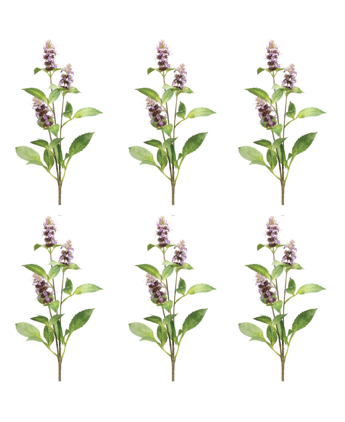 Click here for Buddleia Stem for Elegant Floral Arrangements and... prices