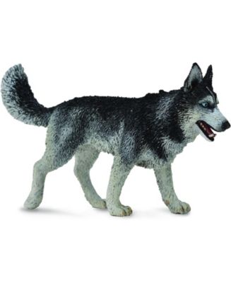 CollectA Siberian Husky Animal Figure 88707 - Macy's