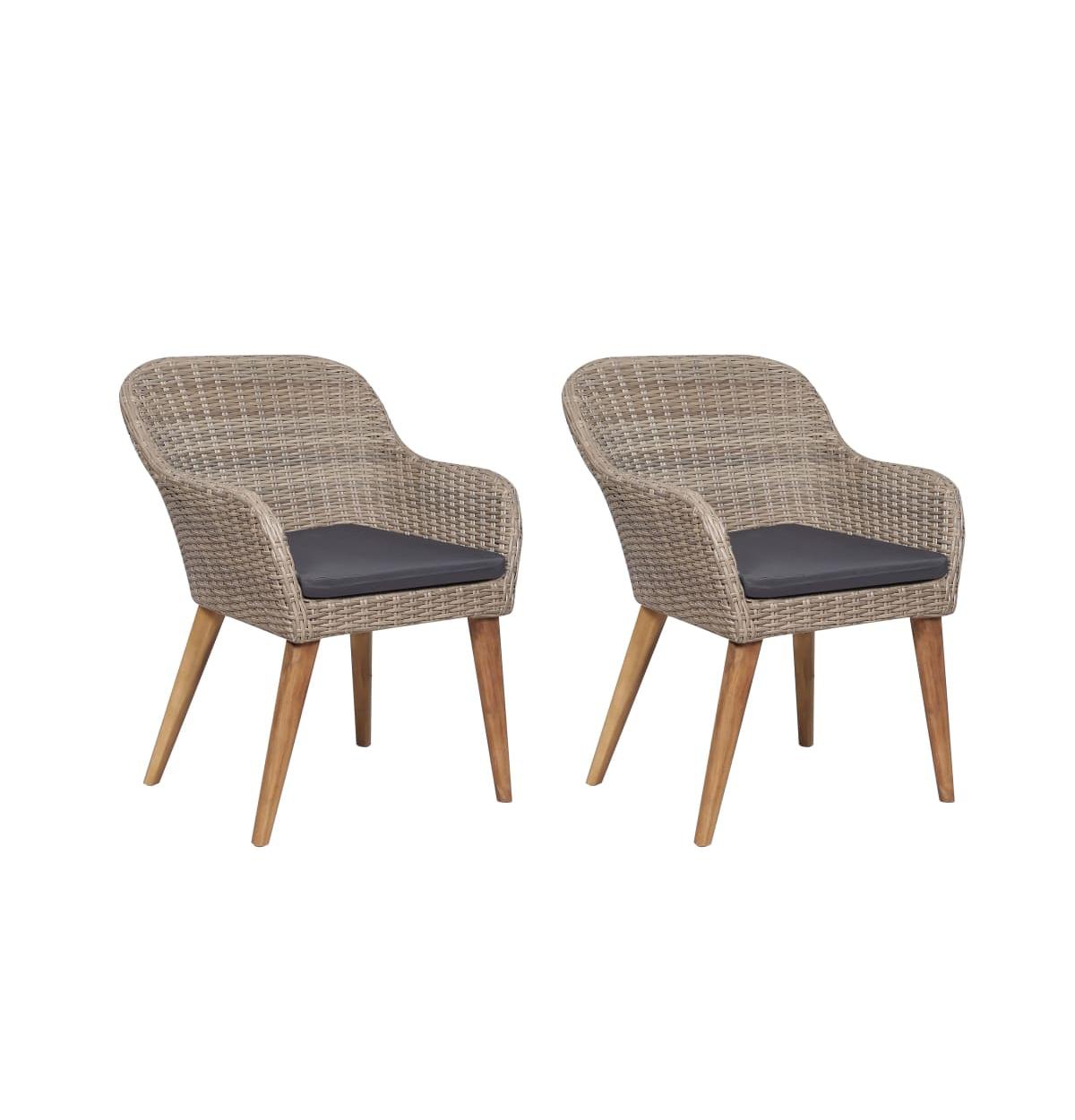 Click here for vidaXL Patio Chairs with Cushions 2 pcs Poly Ratta... prices