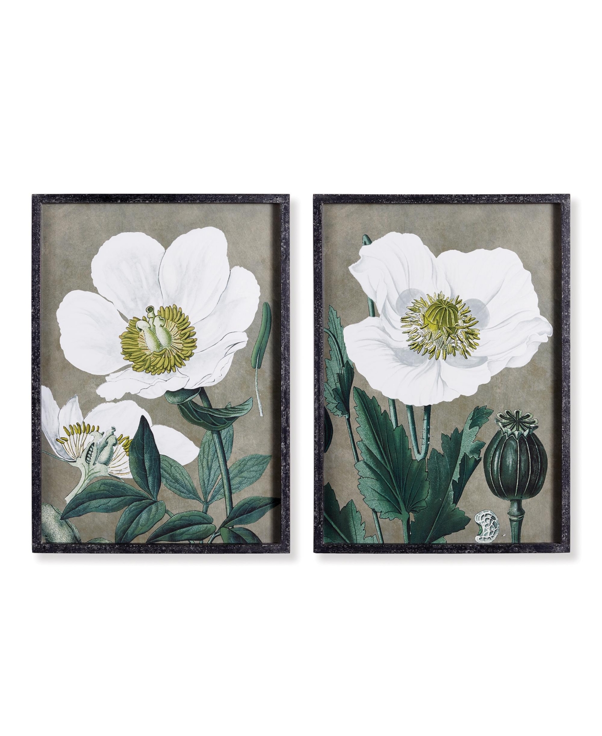 Click here for 19.75" x 27.5" Stunning Poppy Floral Flo... prices