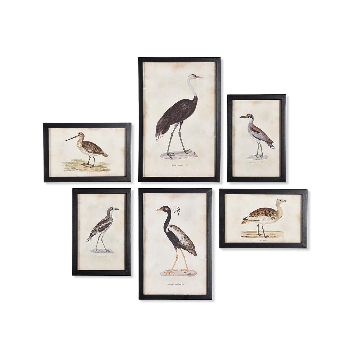 Click here for Waterfowl Gallery  Set Of 6 - Black prices