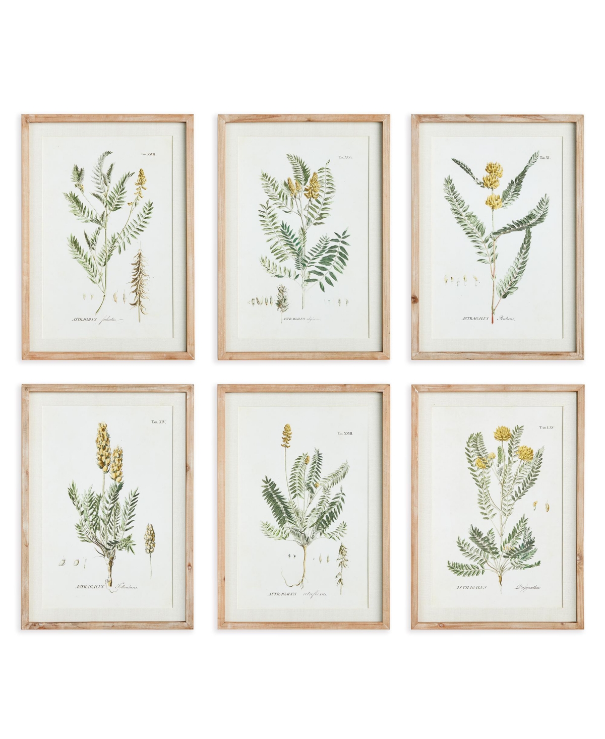 Click here for Mid-Summer Blooms Prints Set of 6 - Green prices