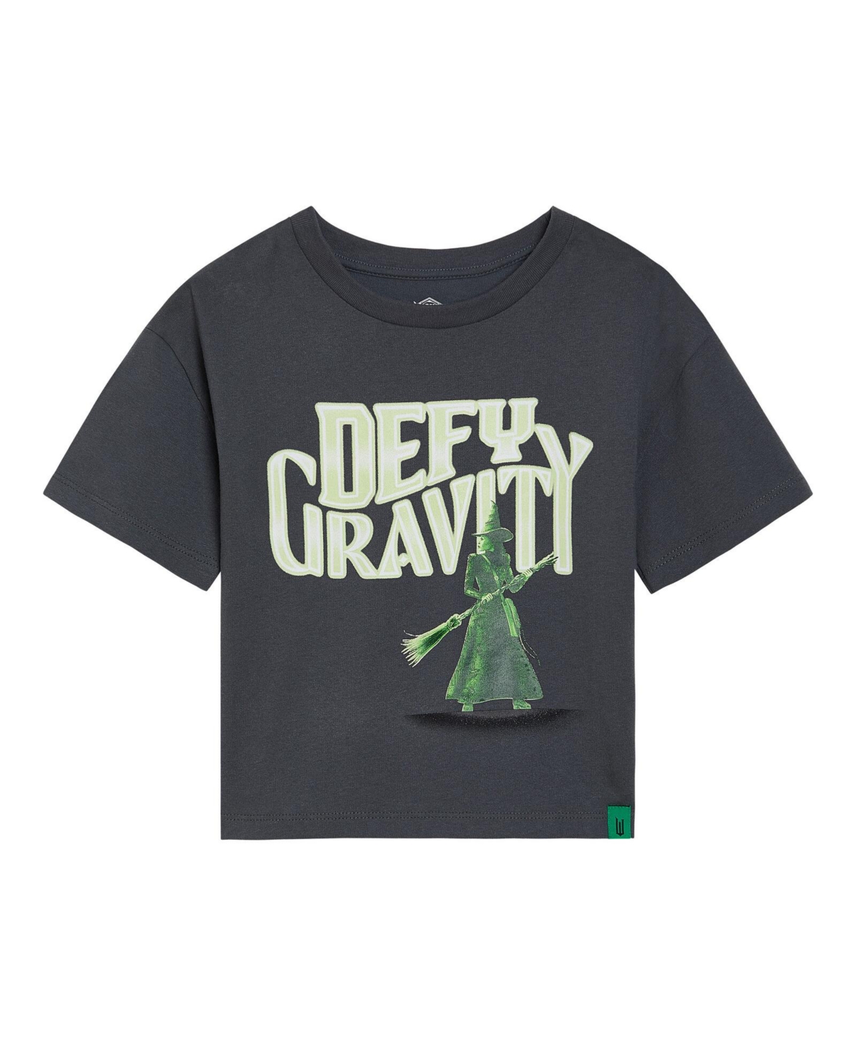 Click here for Universal Studios Wicked Boxy Drop Shoulder T-Shir... prices