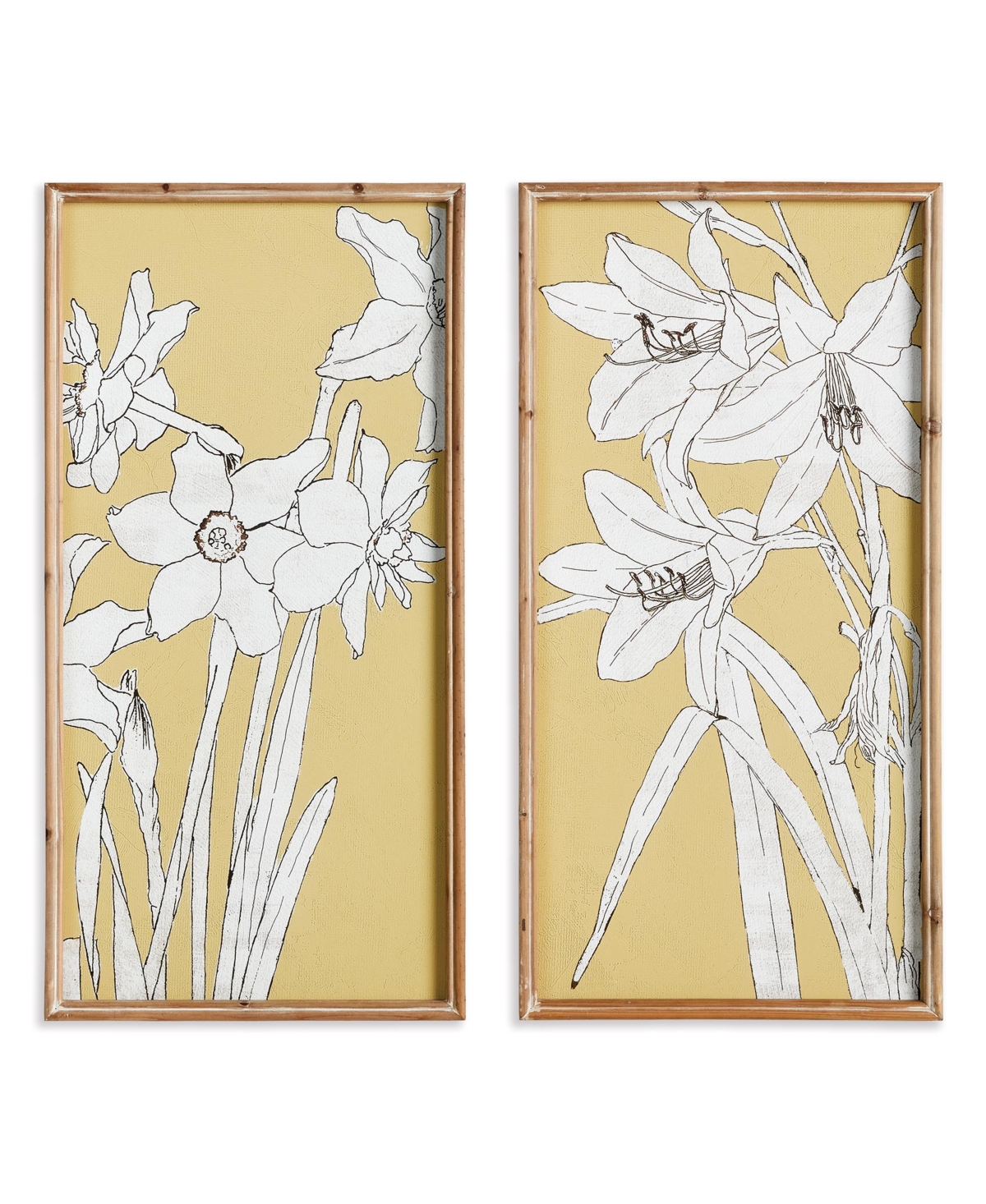 Click here for Flowering Amaryllis Prints  Set Of 2 prices