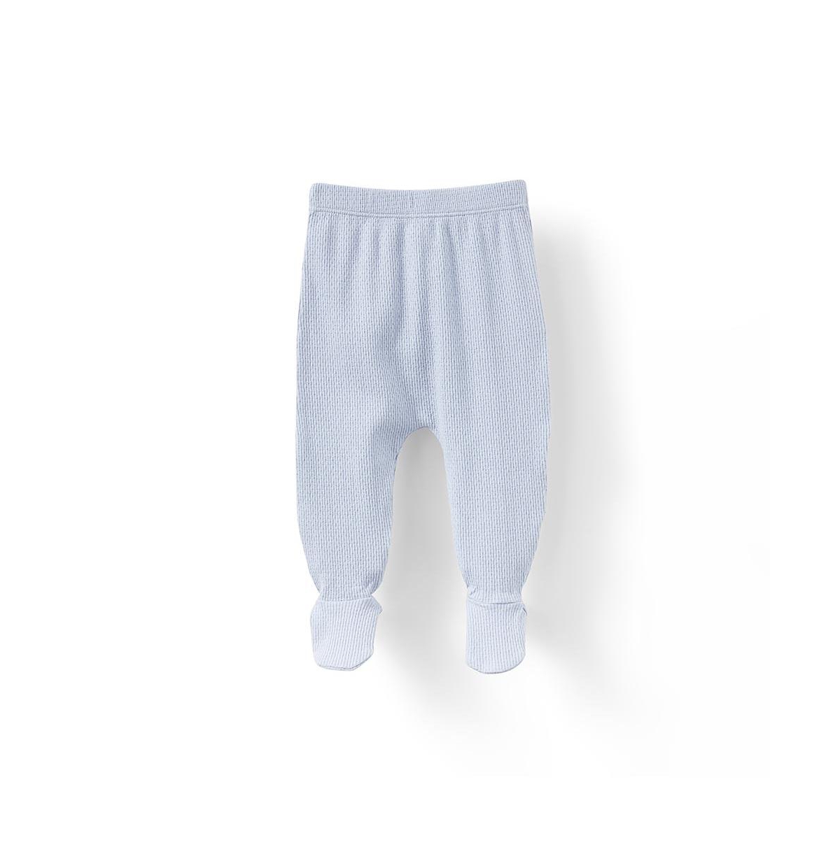 Click here for Cotton On Baby Boys Pointelle Legging - Periwinkle prices