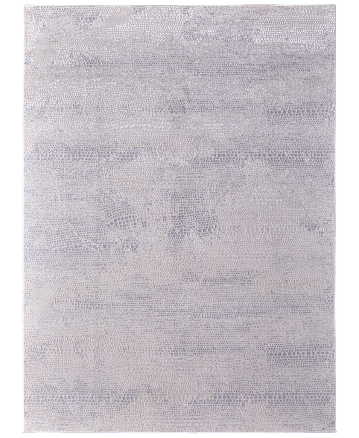 Click here for Feizy Prasad 39N8F 8x11 Area Rug - Ivory  Gray prices