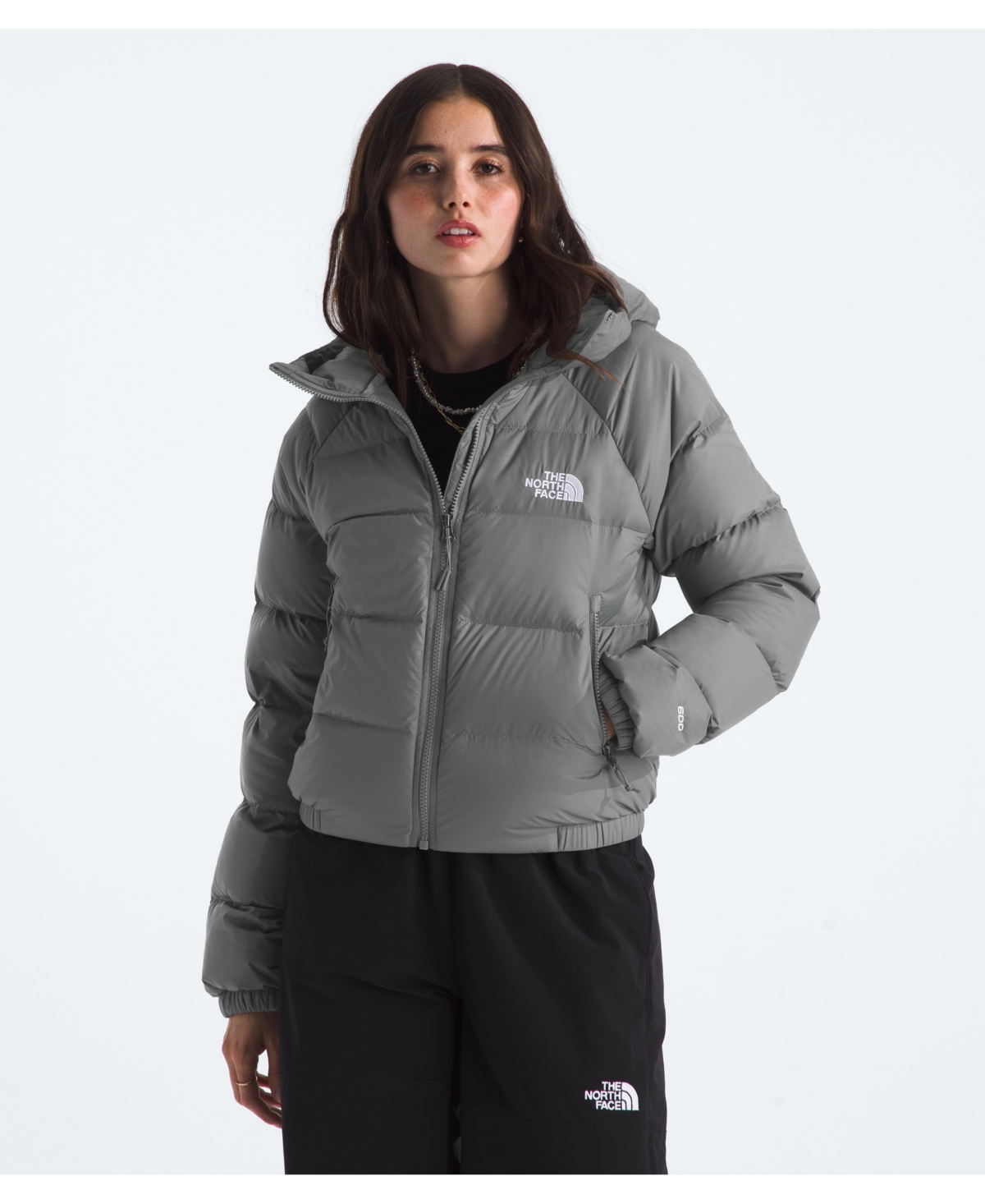 Click here for The North Face Womens Hydrenalite Hooded Down Jack... prices