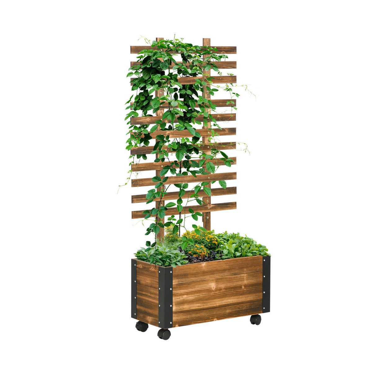 Click here for Chic Crate - Outsunny Raised Garden Bed with Trell... prices