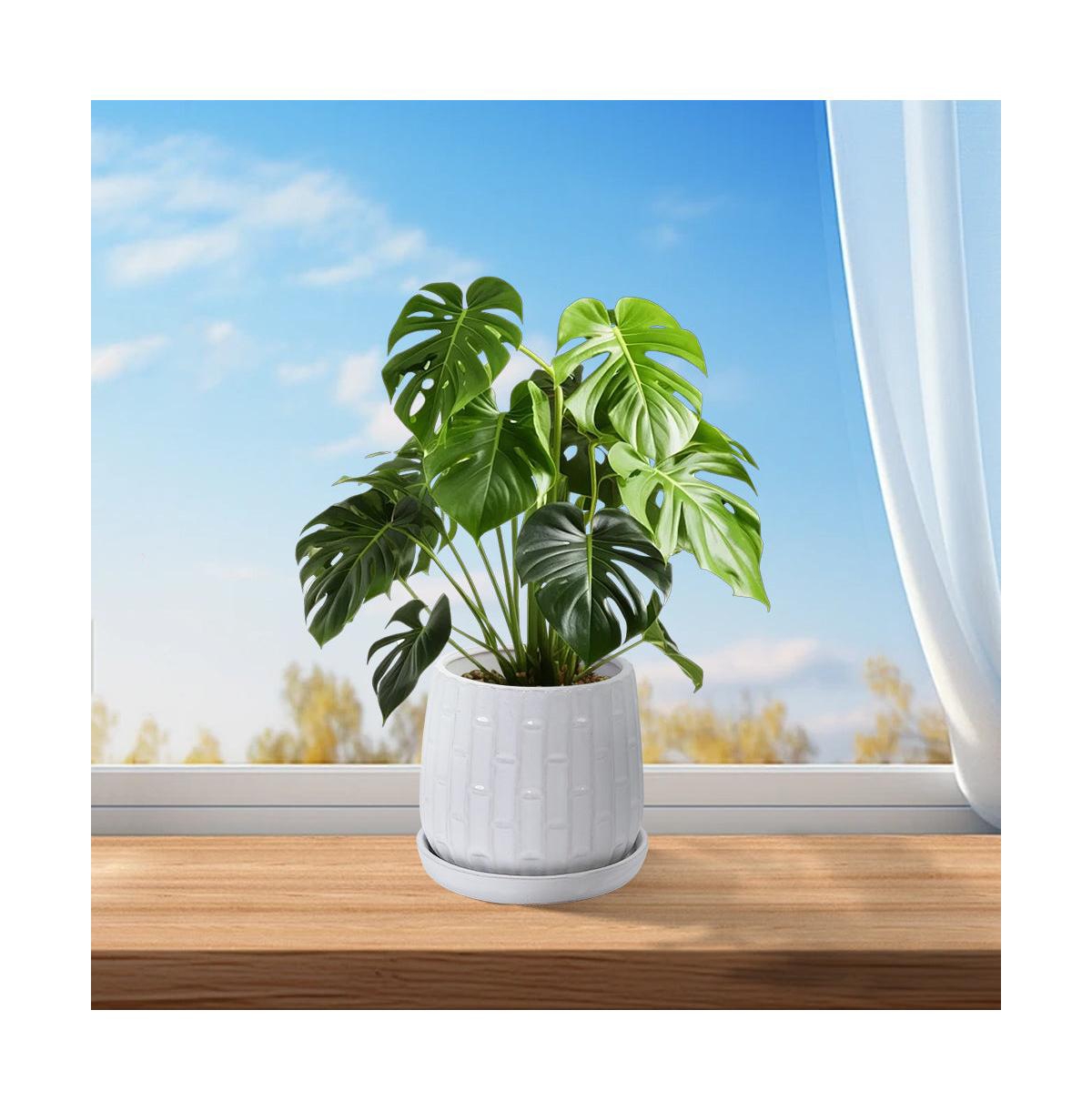 Click here for Chic Crate Set of 2 Modern Ceramic Planters - Whit... prices