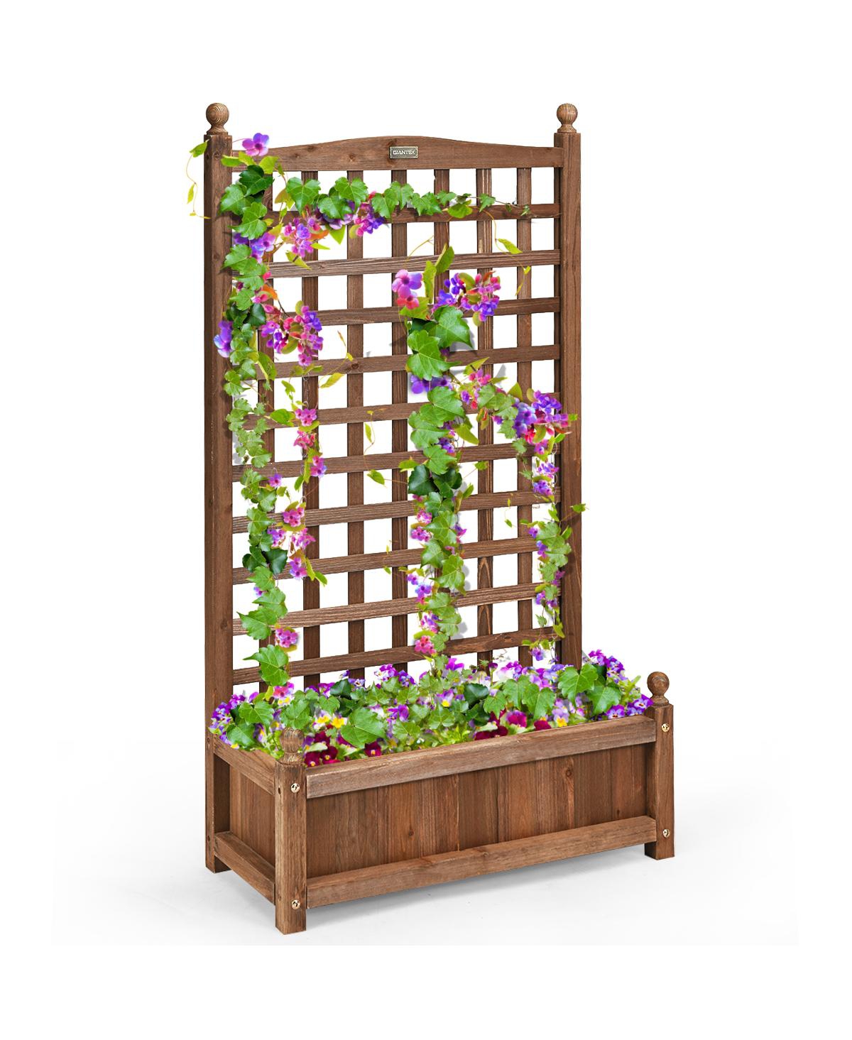Click here for Costway Solid Wood Planter Box with Trellis Weathe... prices