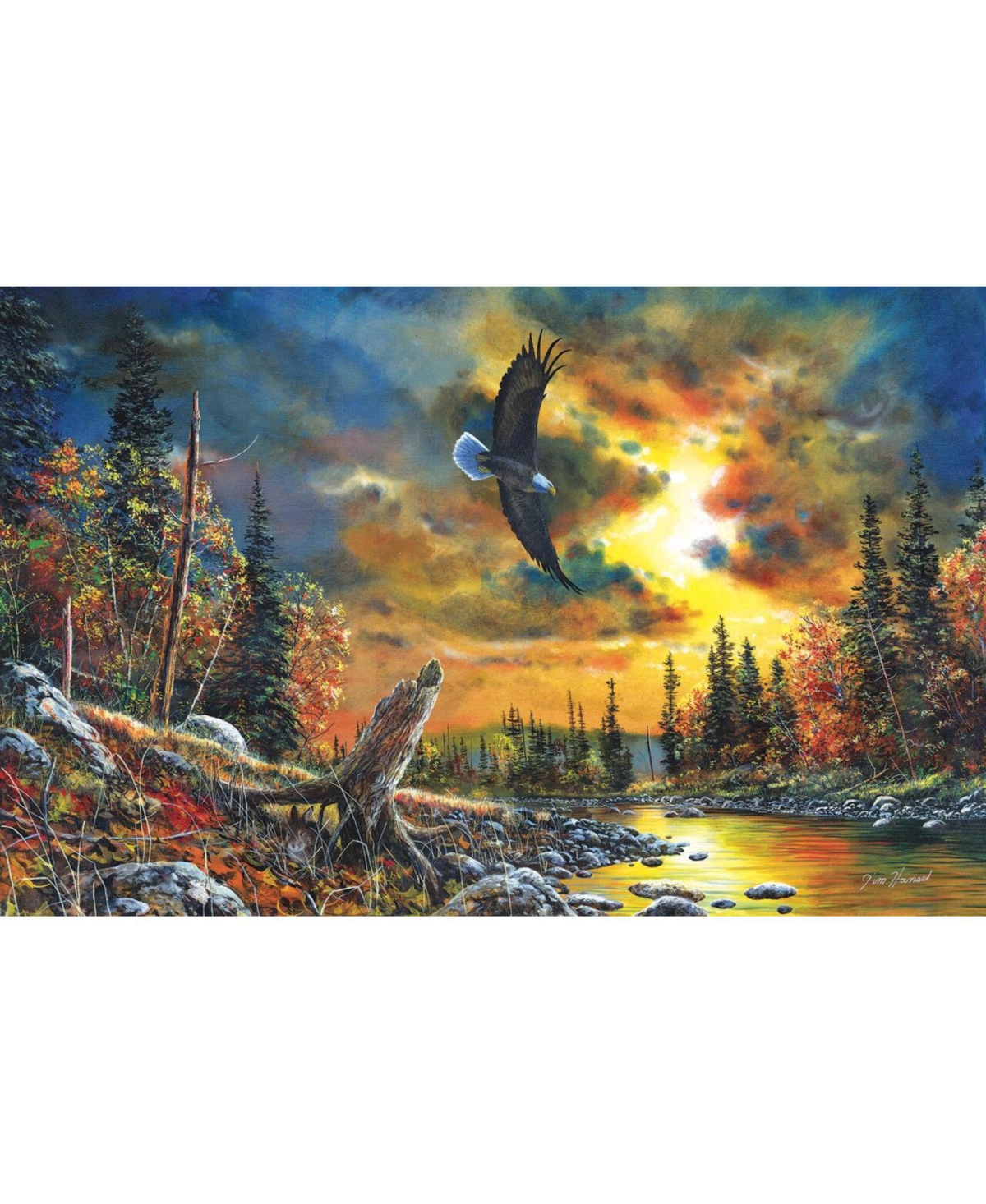 Click here for SunsOut Sky Watcher 1000 piece Jigsaw Puzzle for A... prices