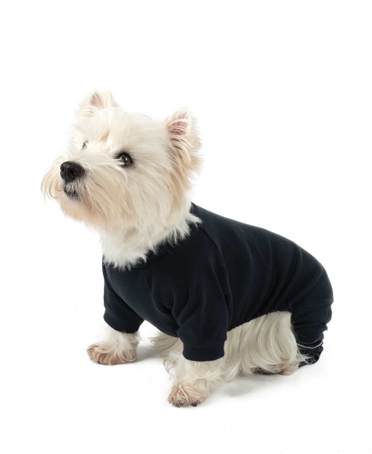 Click here for Leveret Dog Cotton Solid Pajamas - Black prices