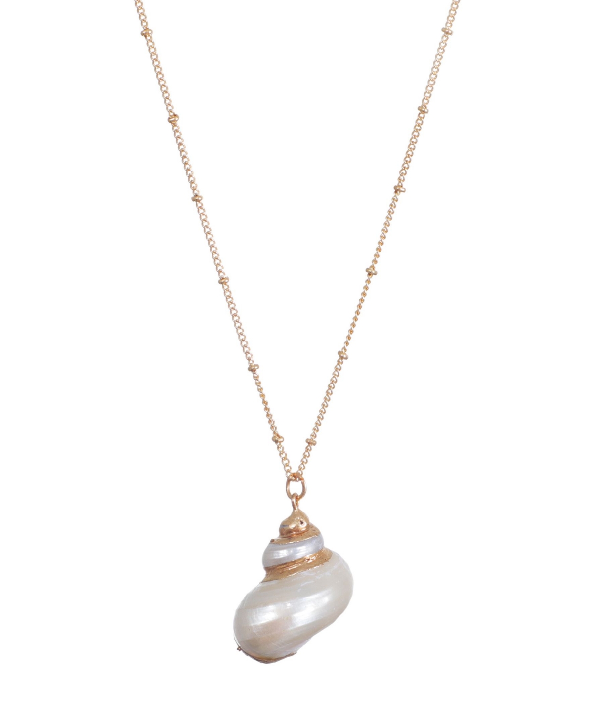 Click here for Adornia Gold Golden Shell Pendant Necklace - White prices
