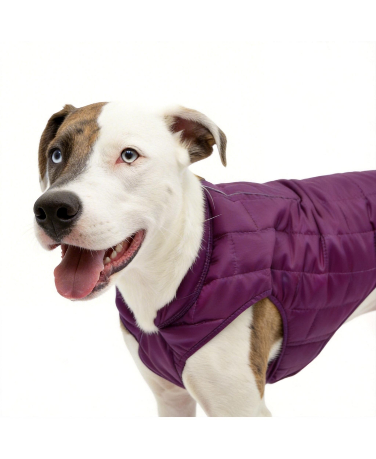 Click here for Aronkl Loft Dog Jacket: Insulated  Reversible  Wat... prices