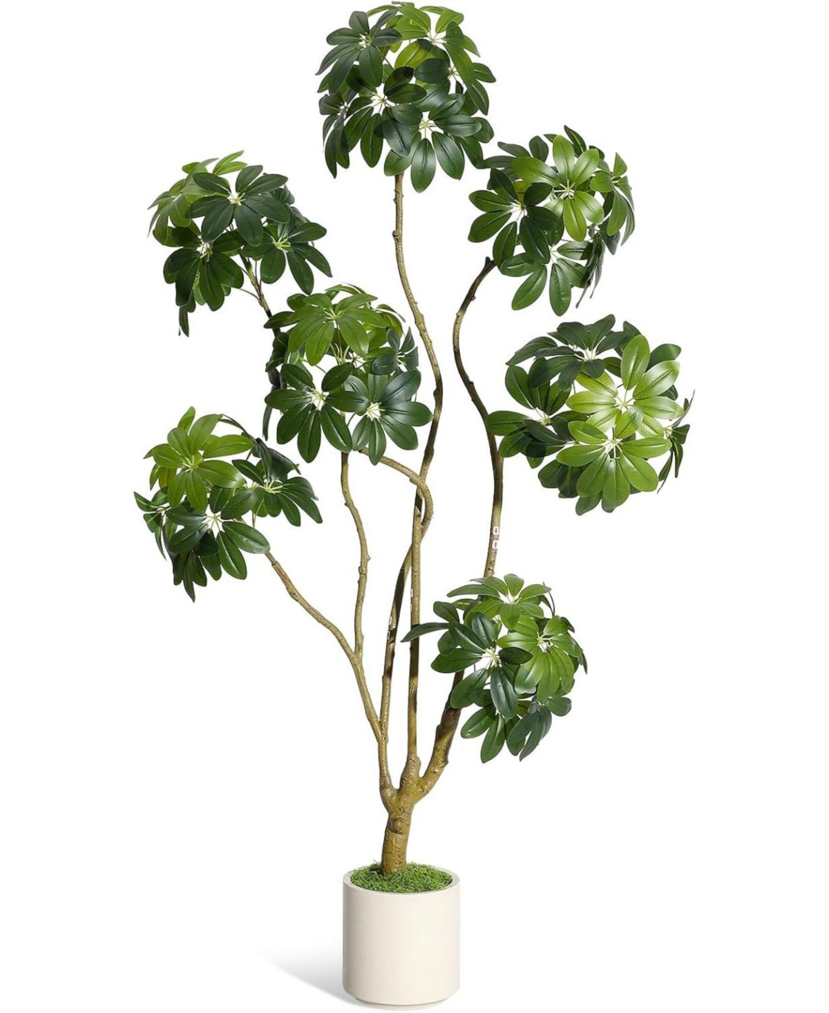 Click here for 5 ft Umbrella Schefflera Artificial Tree with Deco... prices