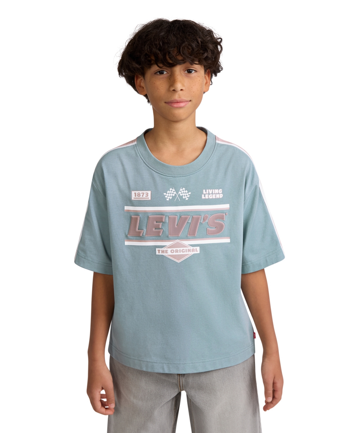 Click here for Levis Boys 8-20 Homestretch Short-Sleeve T-Shirt -... prices