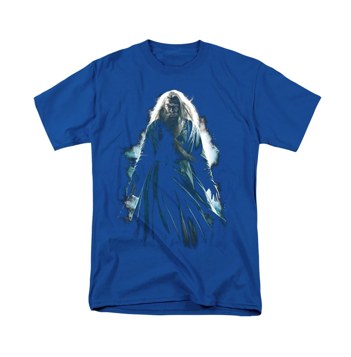 Click here for Harry Potter Mens Dumbledore Burst T-Shirt - Royal prices