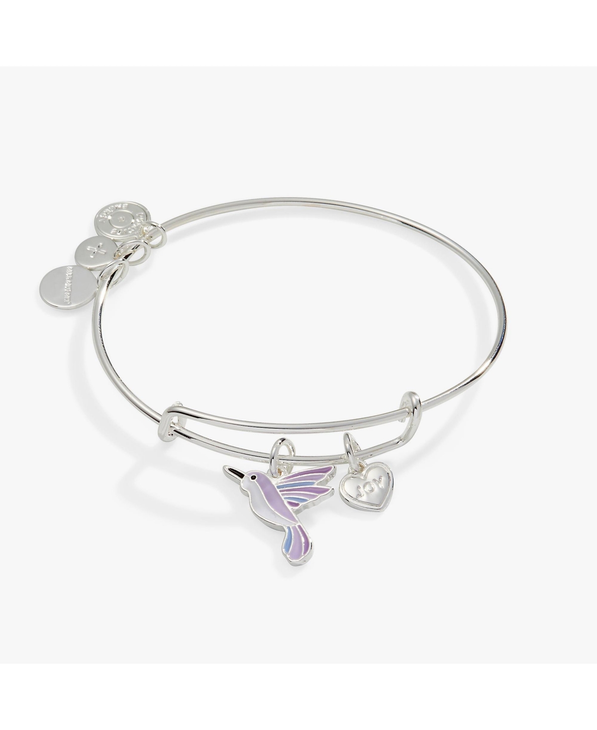 Click here for Alex and Ani Joy Hummingbird Duo Charm Bangle Brac... prices