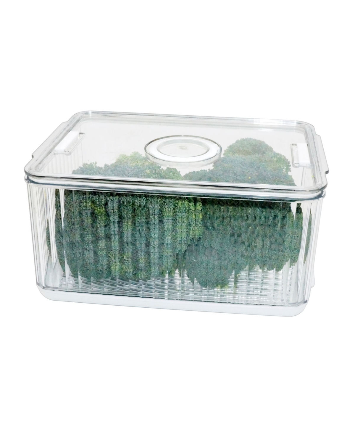 Click here for Oggi Fresh Keeper 7-Liter Produce Storage Containe... prices