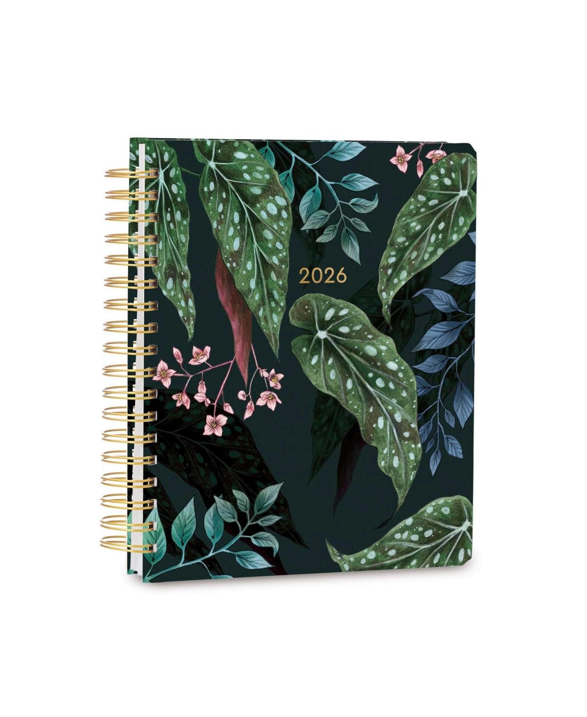 Click here for Gnuadz 2026 Planner Weekly Monthly Hardcover Notes... prices