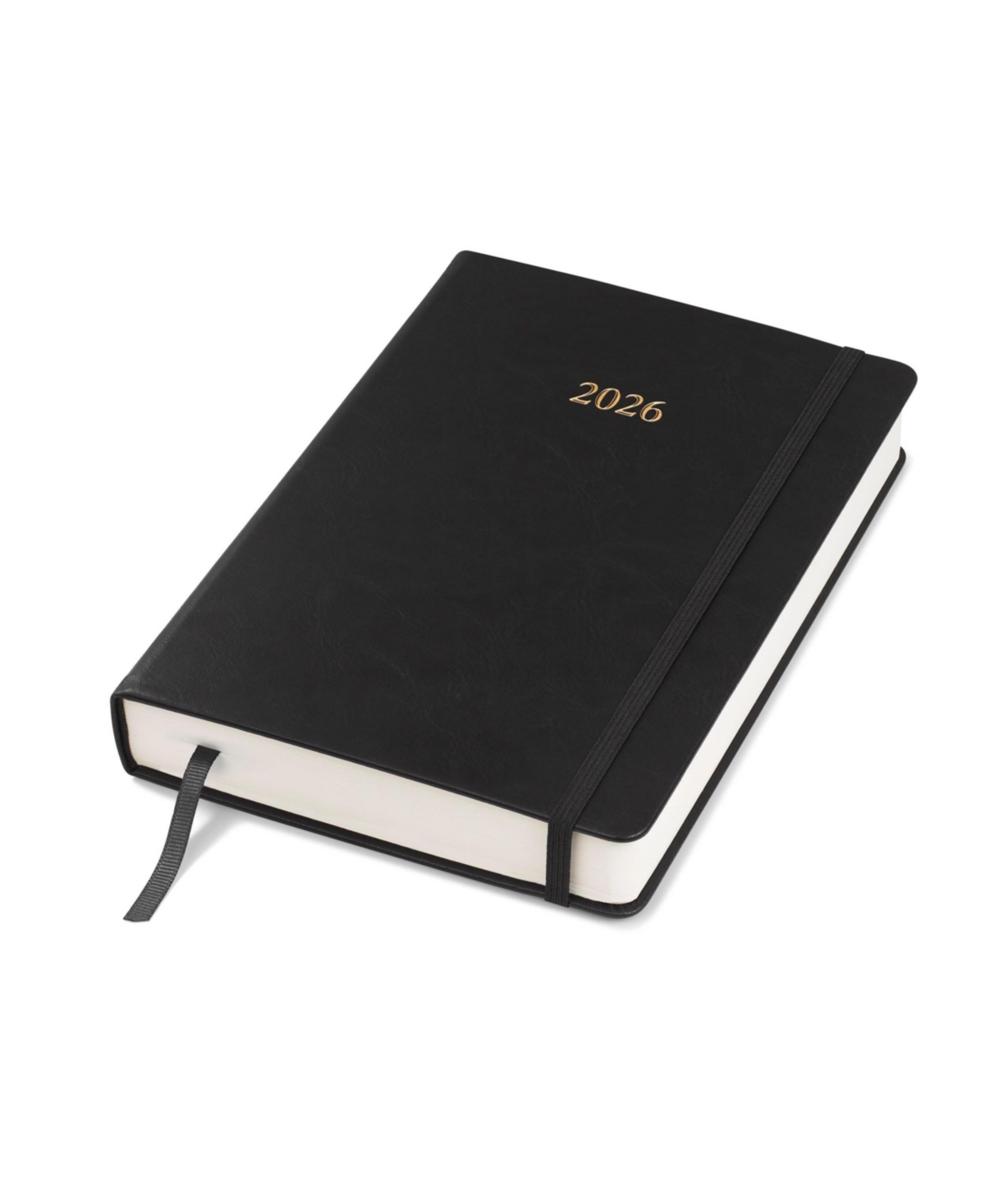 Click here for Gnuadz Executive 2026 Daily Planner with Holidays... prices