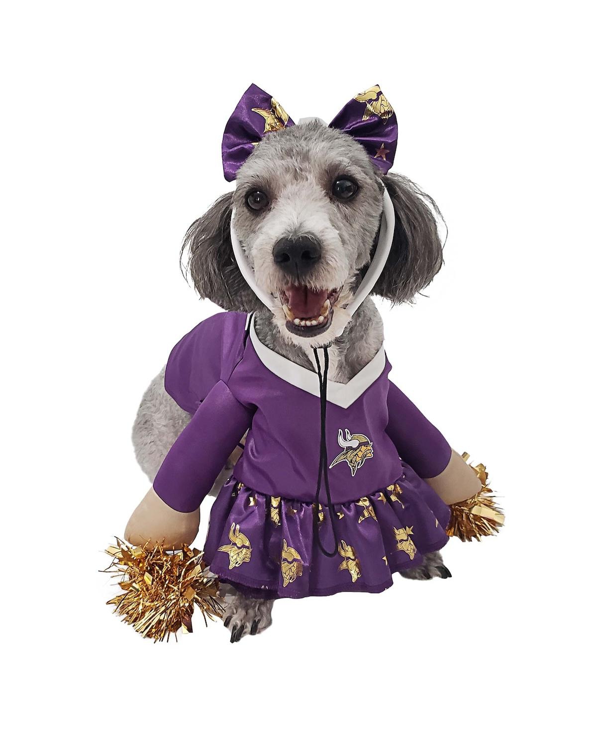 Click here for Jerry Leigh Minnesota Vikings Cheer Dog Costume -... prices
