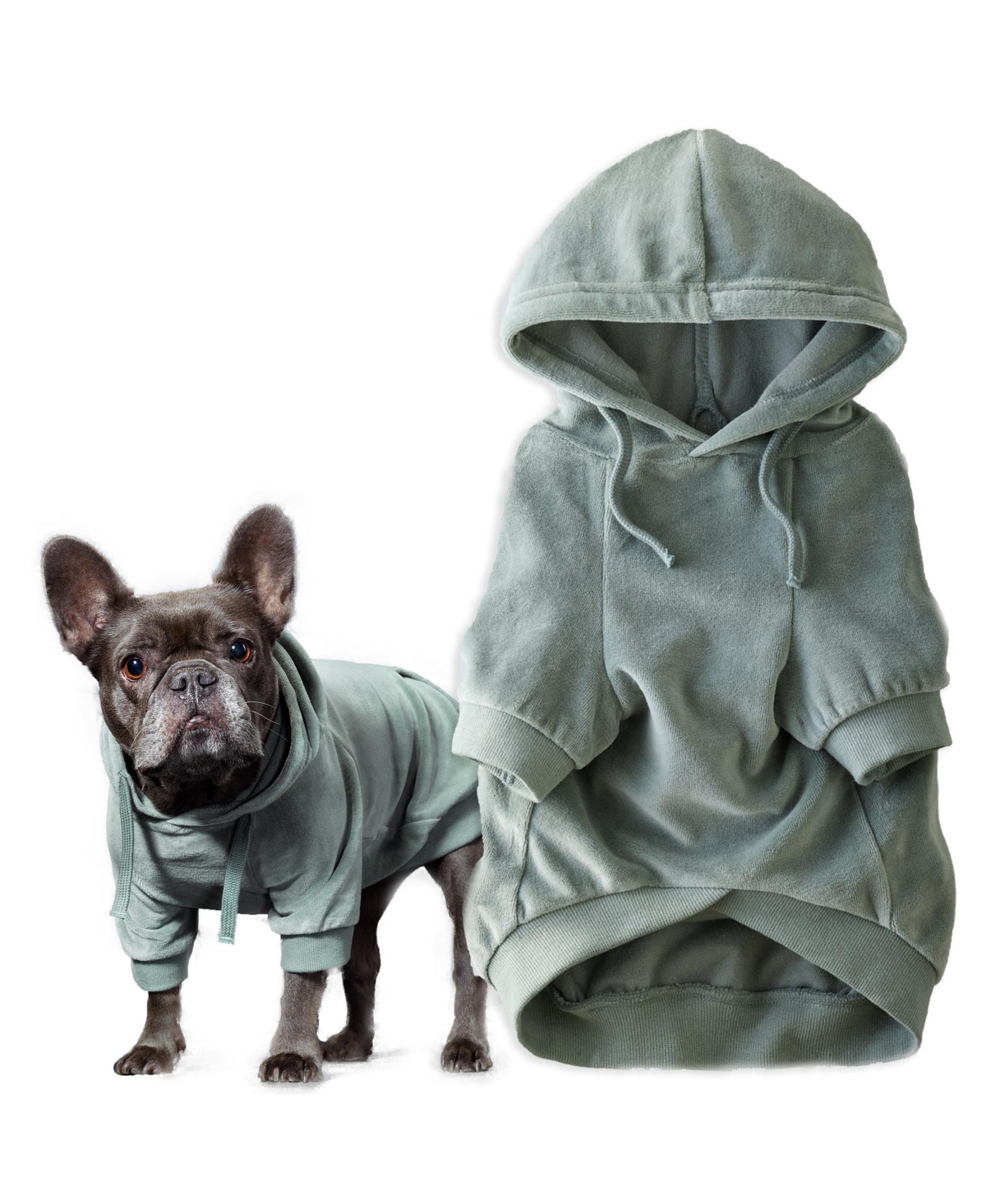 Click here for Pet Passion Cooper Ii The Velour Hoodie - Sage prices