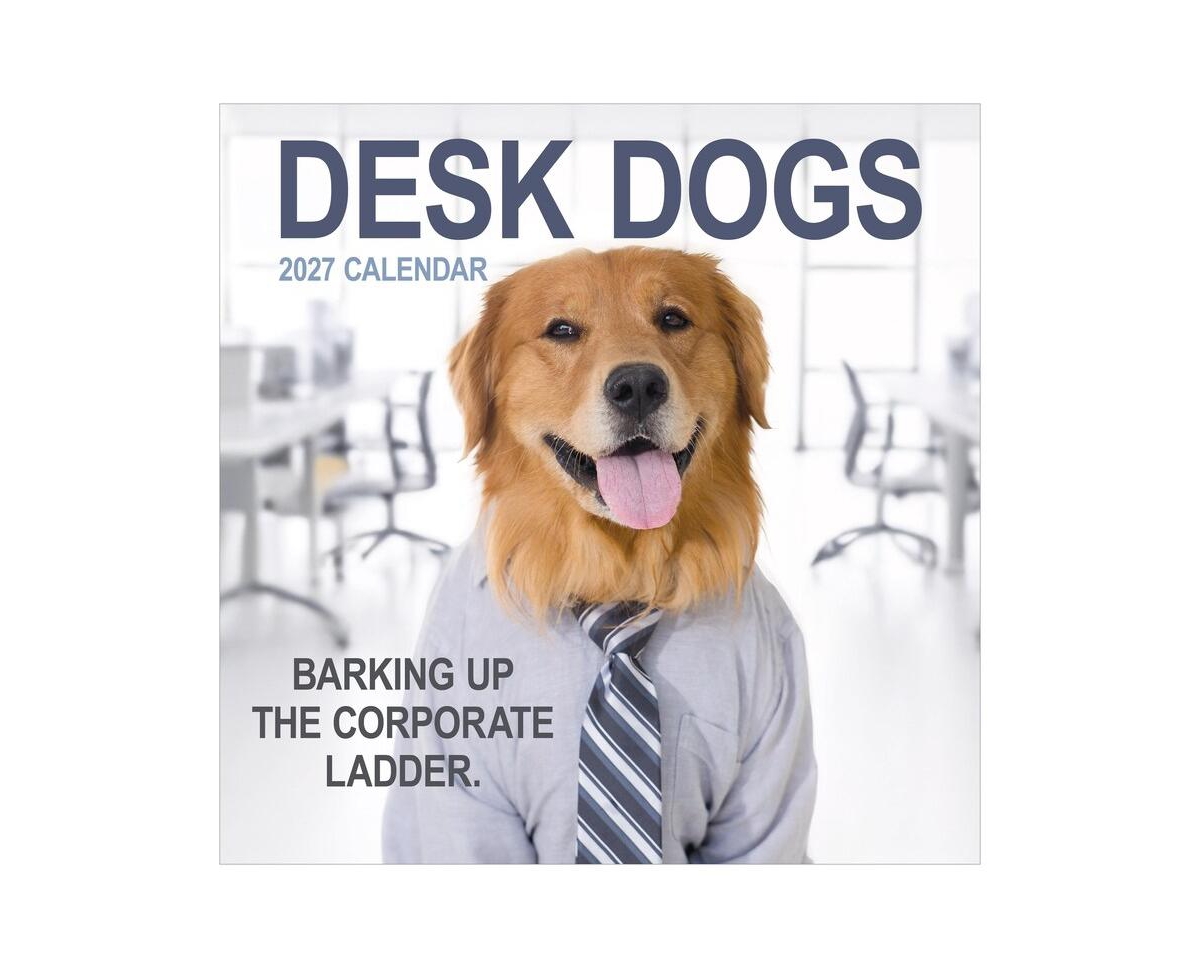 Click here for Tf Publishing Paper Goods 2027 Desk Dogs Wall Cale... prices