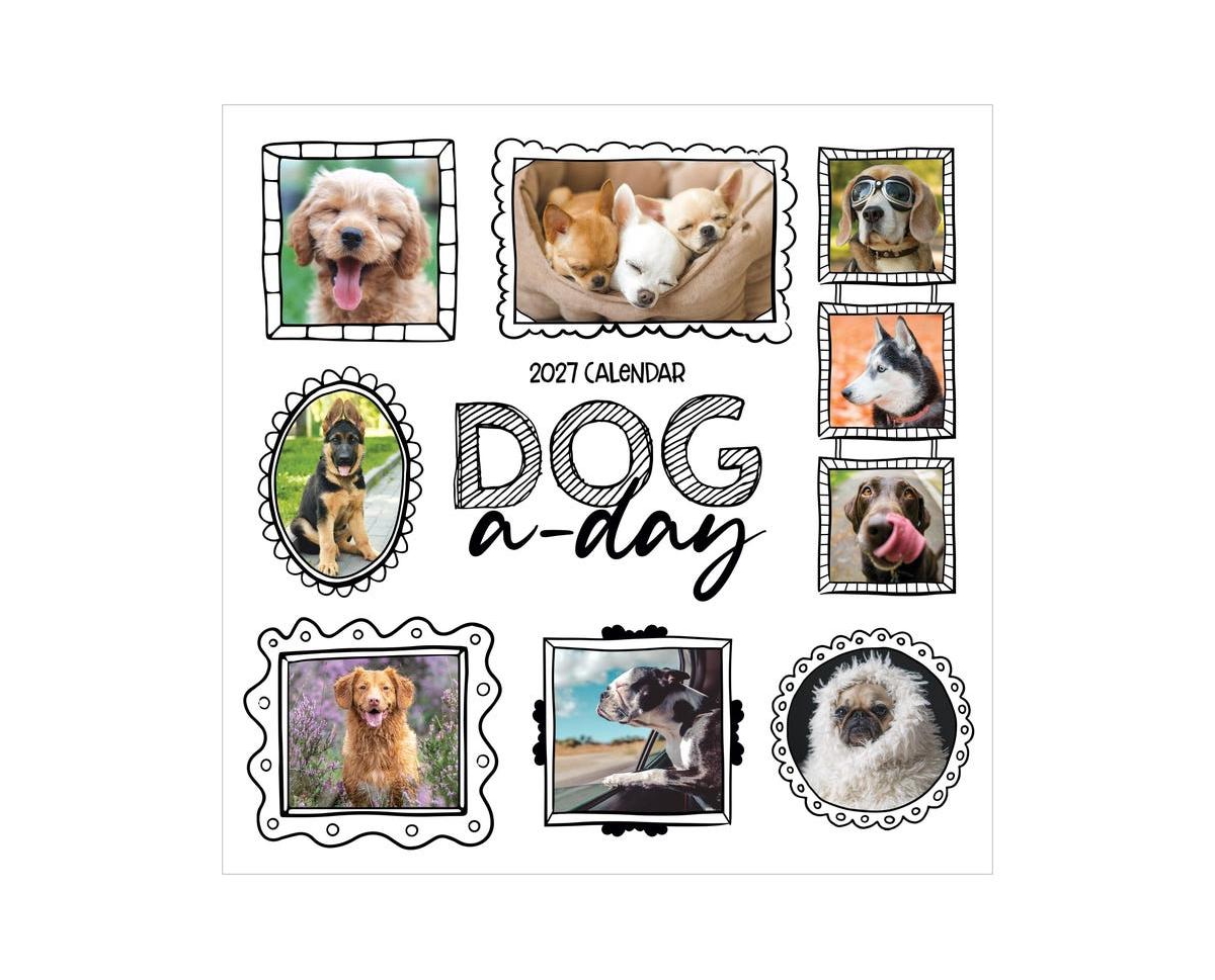 Click here for Tf Publishing Paper Goods 2027 Dog-a-Day Wall Cale... prices