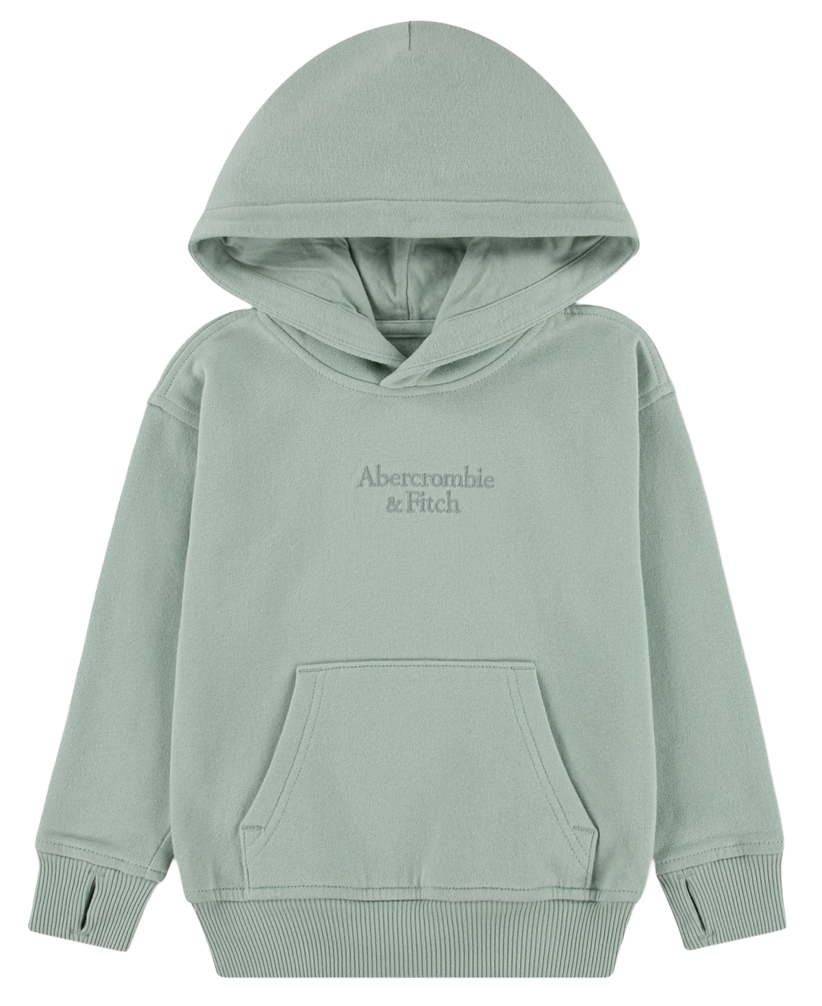 Click here for abercrombie kids Boys Essential Logo Pullover Hood... prices