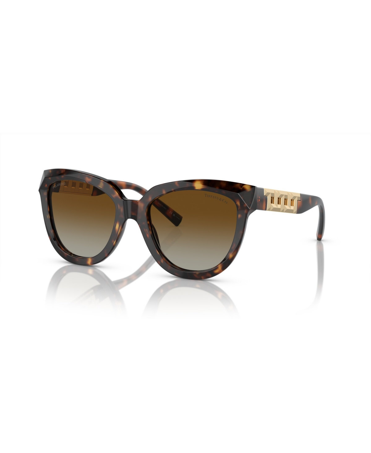 Click here for Tiffany & Co. Womens Polarized Sunglasses  TF4215F... prices