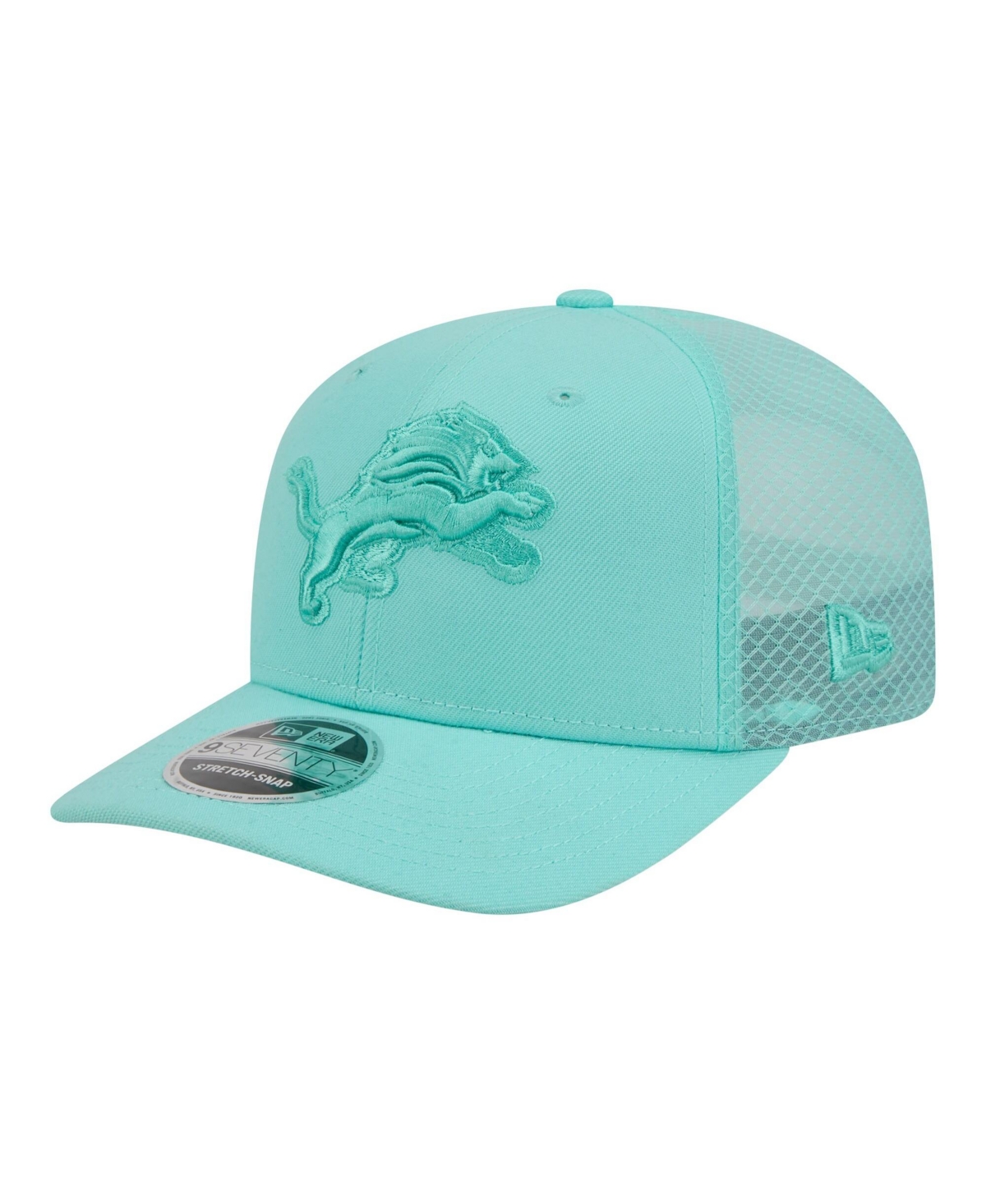 Click here for New Era Mens Mint Detroit Lions Color Pack 9SEVENT... prices
